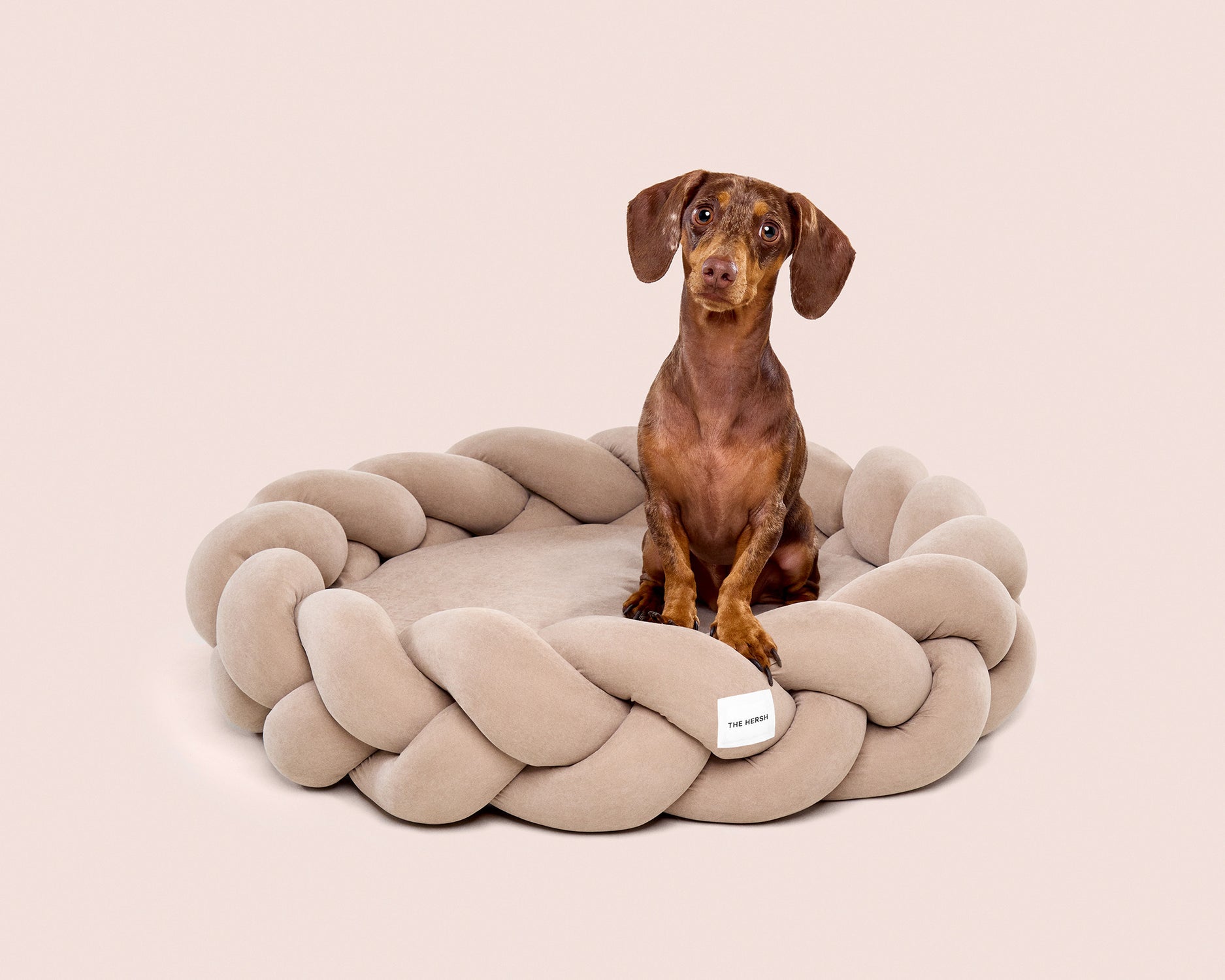 Collections – The Hersh Bed